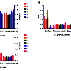 Image_1_Molecular Epidemiology, Antifungal Susceptibility, and ...