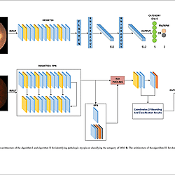 Image_1_AI-Model for Identifying Pathologic Myopia Based on Deep Learning Algorithms of Myopic ...