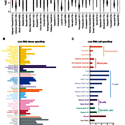 Image2_Clinical Value and Potential Mechanisms of Oxysterol-Binding Protein Like 3 (OSBPL3) in ...