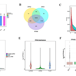 Image4_An Exploration of Non-Coding RNAs in Extracellular Vesicles Delivered by Swine Anterior ...