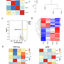 Image_1_Capturing 3D Chromatin Maps of Human Primary Monocytes ...