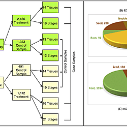 Image_1_Large-Scale Integrative Analysis of Soybean Transcriptome Using an Unsupervised ...