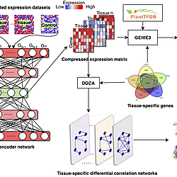Image_2_Large-Scale Integrative Analysis of Soybean Transcriptome Using an Unsupervised ...