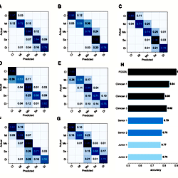 Image_2_A Structure-Related Fine-Grained Deep Learning System With ...