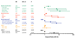 DataSheet_3_Assessment of Renal Risk Score and Histopathological ...