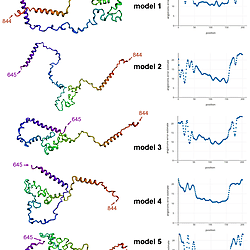 Image_4_AUTS2 Syndrome: Molecular Mechanisms and Model Systems.JPEG