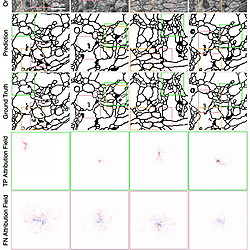 Image_4_U-RISC: An Annotated Ultra-High-Resolution Electron Microscopy ...