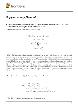 Presentation1_NeuroPack: An Algorithm-Level Python-Based Simulator for ...