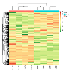 Image_2_Integration of Transcriptome and Metabolome Reveals the ...
