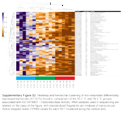 Image2_RNA-Seq Analysis of the Growth Hormone Transgenic Female Triploid Atlantic Salmon (Salmo ...