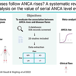 Image_1_Do Relapses Follow ANCA Rises? A Systematic Review and Meta ...