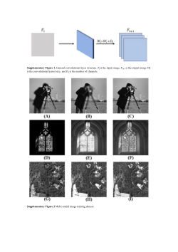Presentation1_A Two-To-One Deep Learning General Framework for Image ...