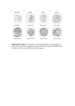 DataSheet2_Identification of a novel m5C/m6A-related gene signature for predicting prognosis and ...