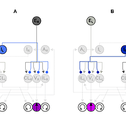 Image_1_Production of adaptive movement patterns via an insect inspired ...