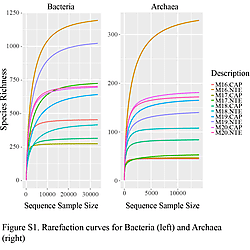 Image_1_Spatial comparison and temporal evolution of two marine iron-rich microbial mats from ...
