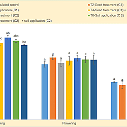 Image_2_Microbial consortia enhance the yield of maize under sub-humid rainfed production system ...