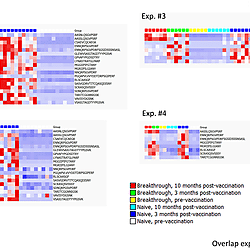 Image_3_Complementarity determining regions in SARS-CoV-2 hybrid ...