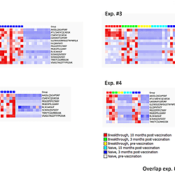 Image_5_Complementarity determining regions in SARS-CoV-2 hybrid ...