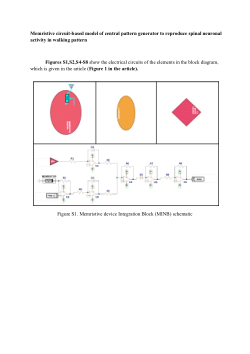 Presentation_1_Memristive circuit-based model of central pattern generator to reproduce spinal ...