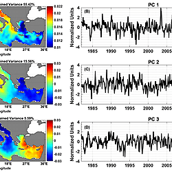 Image_1_Marine heatwaves characteristics in the Mediterranean Sea: Case ...