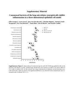 DataSheet_1_Commensal bacteria of the lung microbiota synergistically inhibit inflammation in a ...