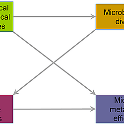 Image_2_Microbial community and soil enzyme activities driving microbial metabolic efficiency ...