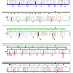 Image7_Excessive addition split peak formed by the non-templated ...