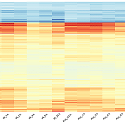 Image3_Comparative transcriptome analysis of the mechanism difference ...
