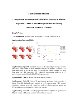 Table1_Comparative transcriptomics identifies the key in planta ...