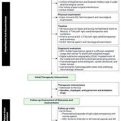 Image_1_Capsular warning syndrome and its clinical awareness and ...