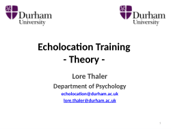 Presentation1_6-hour Training in click-based echolocation changes ...