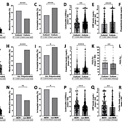 Image 1_Sepsis in Internal Medicine: blood culture-based subtypes ...