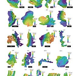 A5. Syn-rift magmatism in a Cenozoic rift basin from 3D seismic data ...