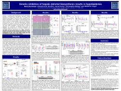 Poster ATVB2022 MDG.pptx