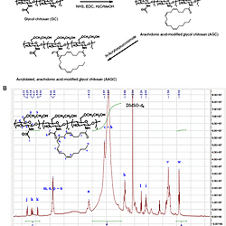 Figure 3 Synthesis and characterization of AAGC.jpg