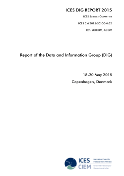 Report of the Data and Information Group (DIG)