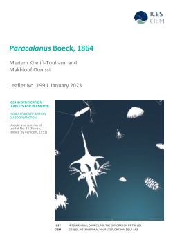 Item - Paracalanus Boeck, 1864 - International Council for the ...
