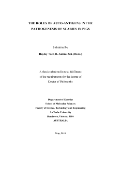 The roles of auto-antigens in the pathogenesis of scabies in pigs