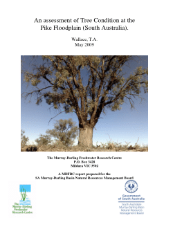 An assessment of Tree Condition at the Pike Floodplain (South Australia)