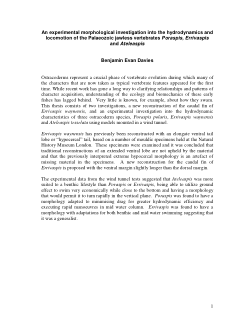 An experimental morphological investigation into the hydrodynamics and ...