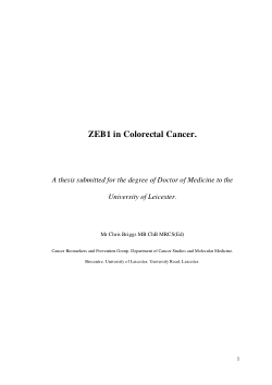 Item - ZEB1 in Colorectal Cancer - University of Leicester - Figshare