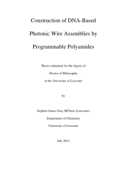 Item - Construction of DNA-based Photonic Wire Assemblies by ...