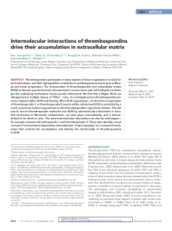 Extracellular Matrix