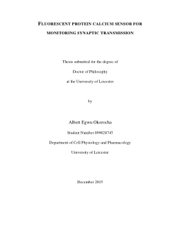 Item - Fluorescent protein calcium sensor for monitoring synaptic ...
