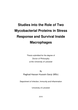 Item - Studies into the role of two mycobacterial proteins in stress response and survival ...