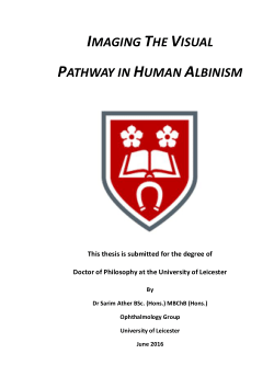 Imaging the Visual Pathway in Human Albinism