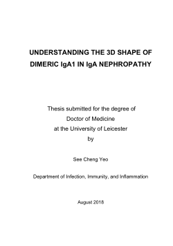 Understanding The 3d Shape Of Dimeric IgA1 in IgA Nephropathy