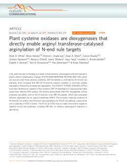 Plant cysteine oxidases are dioxygenases that directly enable arginyl ...