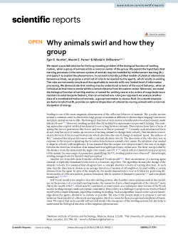 Why animals swirl and how they group