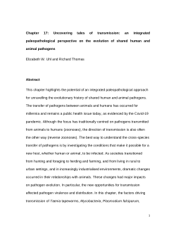 Uncovering tales of transmission: an integrated paleopathological ...